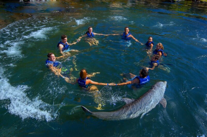 Riviera Maya: Swim with dolphins Interax - The Sum Up: Is It Worth It?