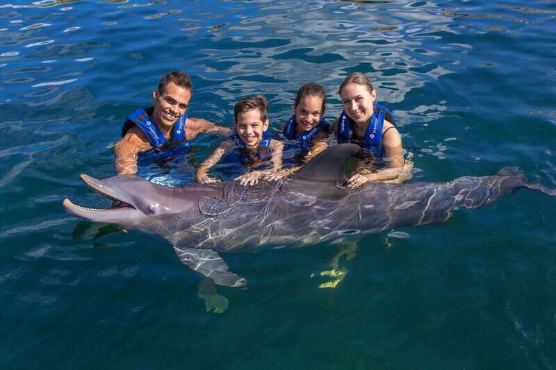 Riviera Maya: Swim with dolphins Primax - What the Tour Offers — An Overview of the Highlights