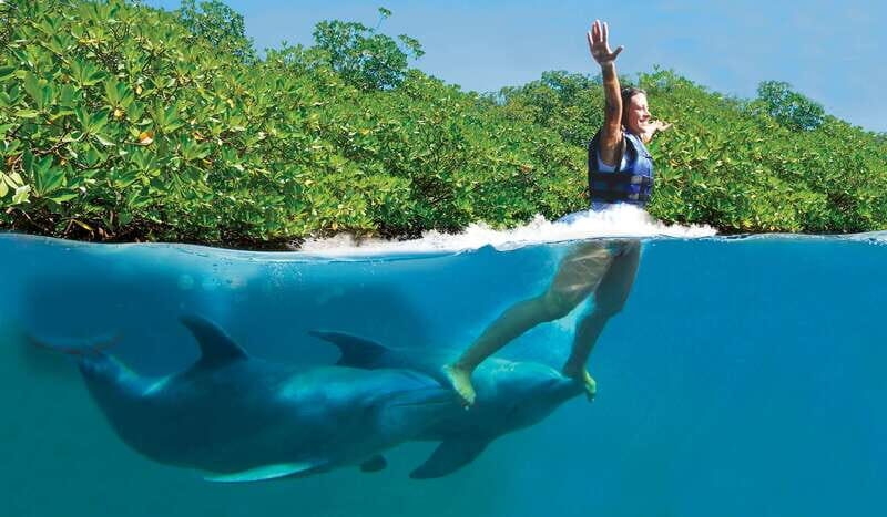 Riviera Maya: Swim with dolphins Primax - Cost & Value — Does It Stack Up?