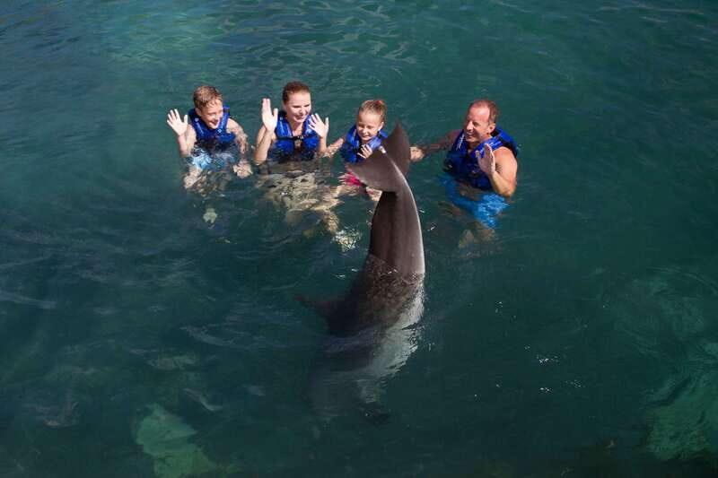 Riviera Maya: Swim with dolphins Primax - Real Feedback from Visitors