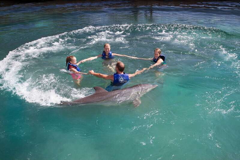 Riviera Maya: Swim with dolphins Primax - Practicalities for Travelers