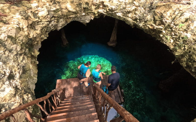 Riviera Maya: Tulum Ruins Tour, Turtle Swimming, Cenotes, and Lunch. - The Marine Adventure: Swimming with Turtles