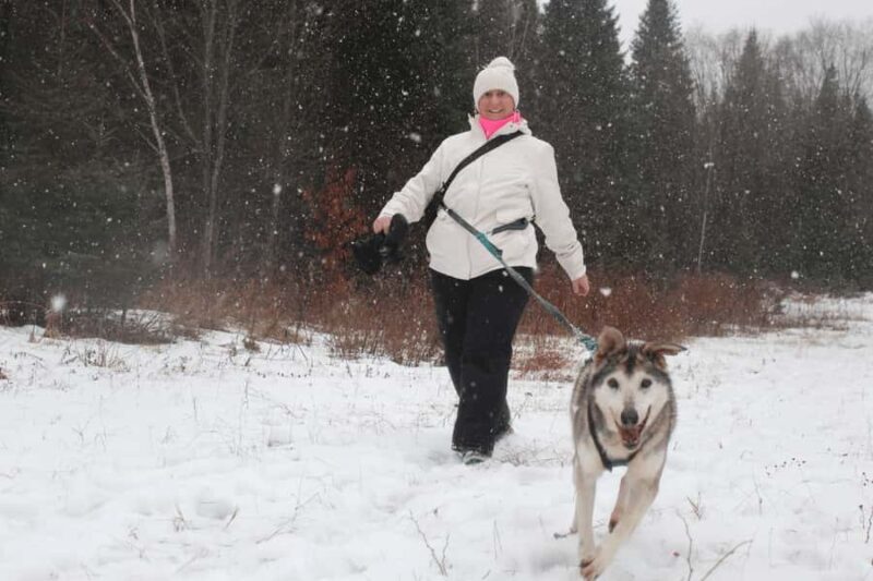 Rivière-Rouge: Snowshoe with Joering Harness and Sled Dogs - An In-Depth Look at the Experience
