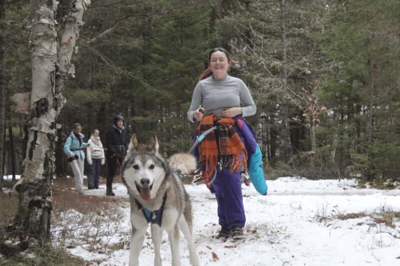 Rivière-Rouge: Snowshoe with Joering Harness and Sled Dogs - Who Will Love This Experience?