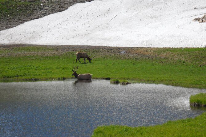 RMNP: Bear Lake Corridor Tour - Introduction