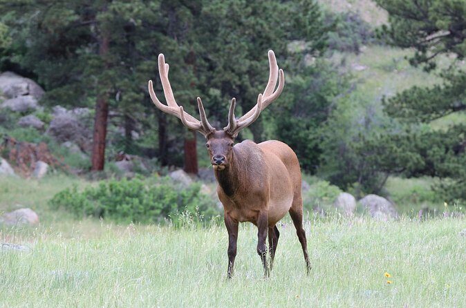 RMNP: Bear Lake Corridor Tour - Frequently Asked Questions