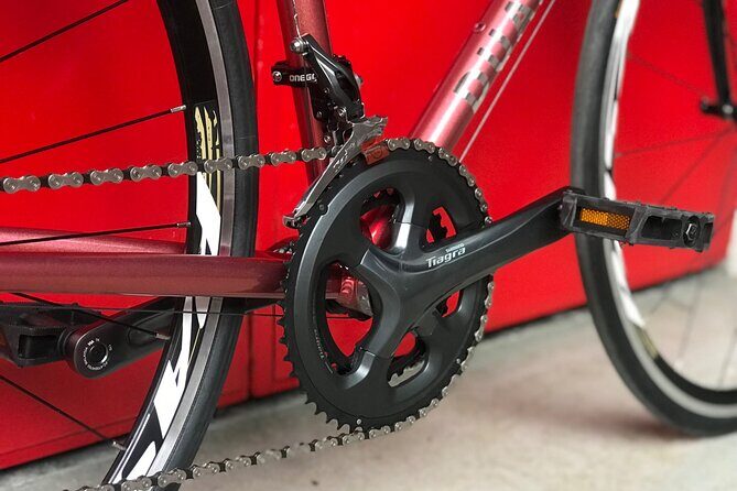 Road Bike Rentals - Key Points