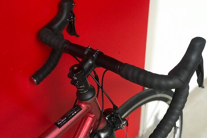 Road Bike Rentals - Authentic Insights from Reviews