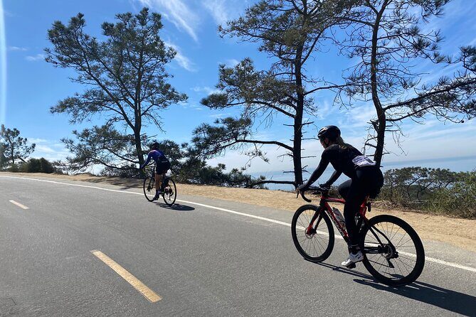 Road Bike Ride - designed for serious cyclists - A Detailed Look at the San Diego Coast Bike Tour