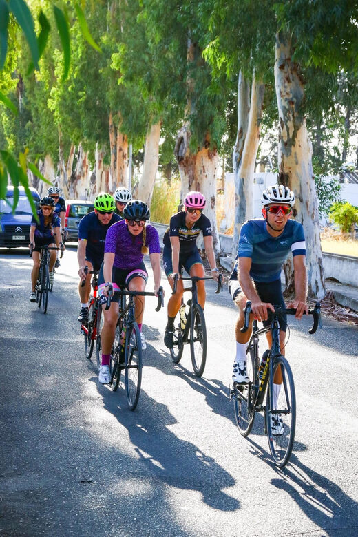 Road bike Tour - What Makes This Tour Stand Out?