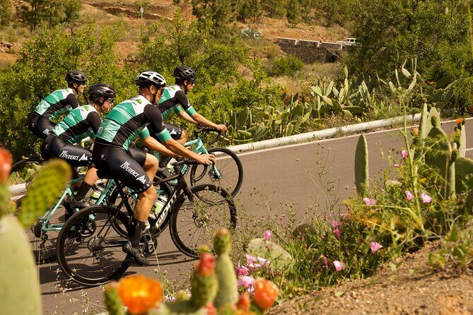 Road Cycling Tenerife - Vilaflor Route - Frequently Asked Questions
