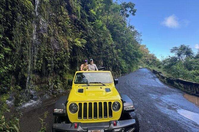 Road to Hana and Haleakala Sunset Open-Air Jeep Private Tour - Who Should Consider This Tour?