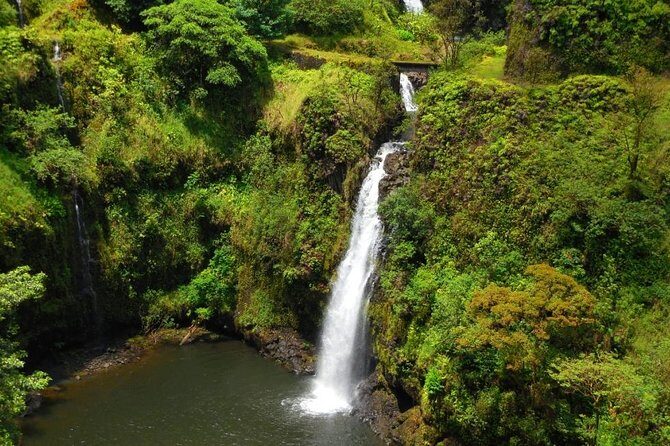 Road To Hana Black Sand Beach Waterfalls & Turtles Tour - What’s Included and How That Adds to Value
