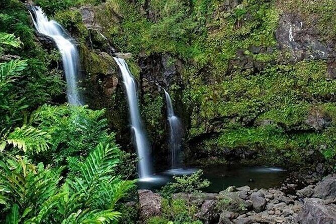 Road to Hana Deluxe Rainforest and Waterfall Experience from Oahu - Introduction to the Tour