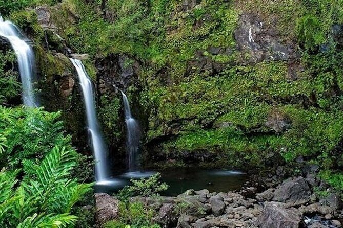 Road to Hana Deluxe Rainforest & Waterfall Experience from Oahu - What Makes This Tour Stand Out