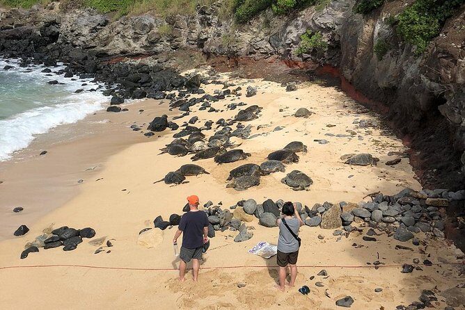 Road to Hana: Full-Day Scenic Drive with Blacksand & Waterfalls - FAQs