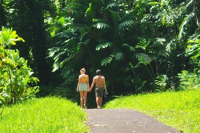 Road to Hana Full Day Tour with A Guide - A Closer Look at the Guided Road to Hana Tour