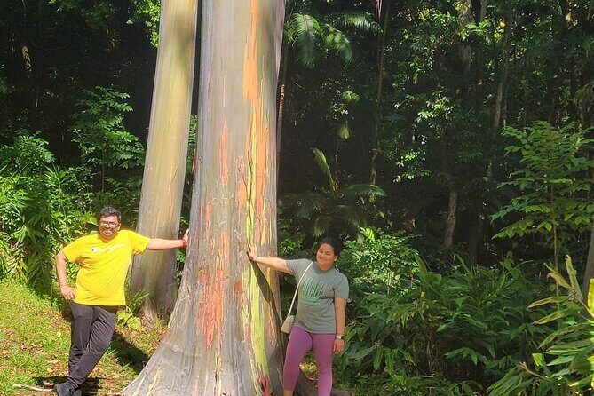 Road to Hana Full Day Tour with A Guide - The Value and Cost — Is It Worth It?