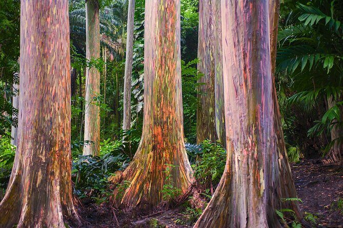 Road to Hana Full Day Tour with A Guide - Frequently Asked Questions