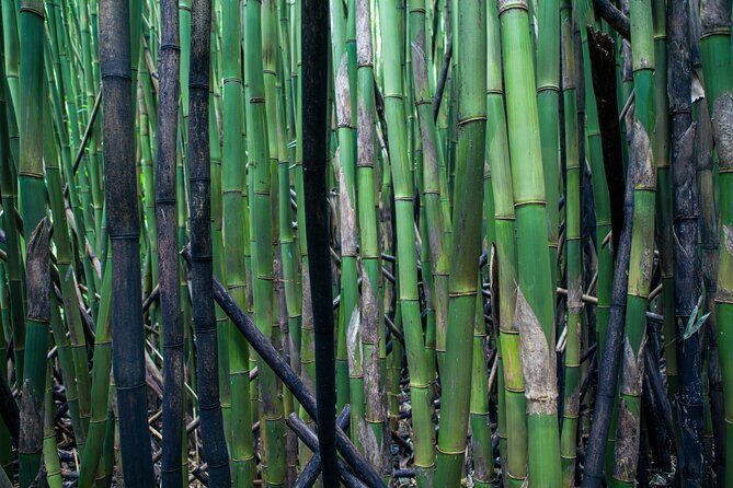 Road to Hana Halfway and Haleakala National Park - Authenticity and Value