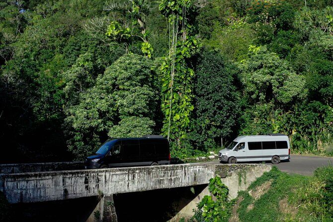 Road to Hana Halfway and Haleakala National Park - Who Should Book This Tour?