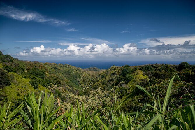 Road to Hana Halfway and Haleakala National Park - The Sum Up — Is This Tour Worth It?