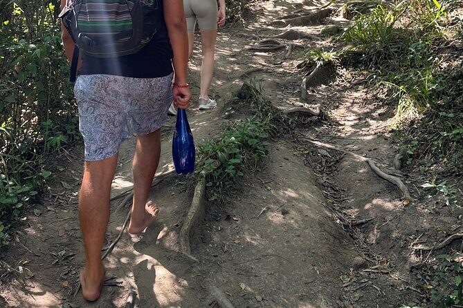 Road to Hana Maui Tours - Lava Tunnels and Bamboo Forest Hikes