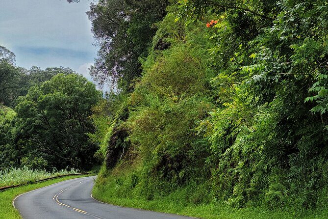 Road to Hana Private Full Day Tour - Why Travelers Love This Tour