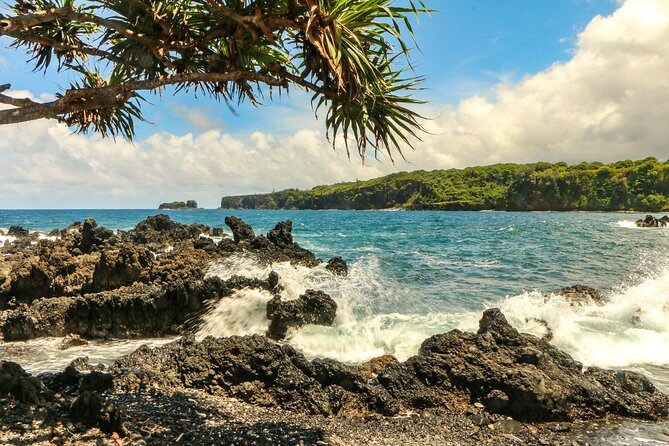 Road to Hana Tour with Lunch and Pickup - Lunch: A Local Flower Farm Experience
