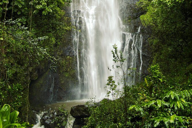 Road to Hana Tour with Lunch and Pickup - Why This Tour Stands Out