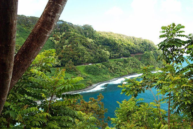 Road to Hana Tour with Lunch and Pickup - The Drive: Comfort and the Power of a Good Guide