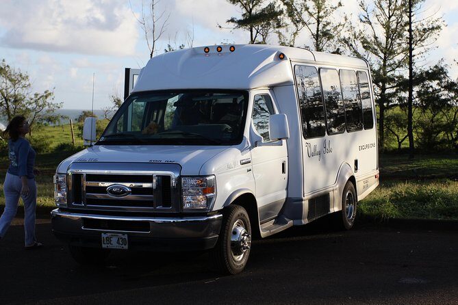 Road to Hana Tour with Lunch and Pickup - Who Should Book This Tour?