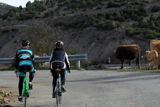 Road, Trekking or E-bike Bike Rental in Cagliari - Final Thoughts