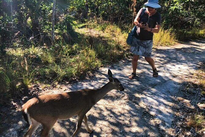 Road Trip through the Lower Keys Audio Tour - Final Thoughts