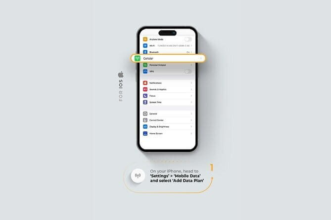 Roaming Internet with eSIM Mobile Data Plan in Indonesia - FAQs