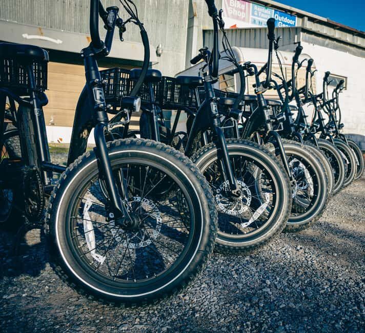 Roanoke: Electric Bike Rental - Discover Roanoke on Electric Bike — An Easy, Scenic Ride