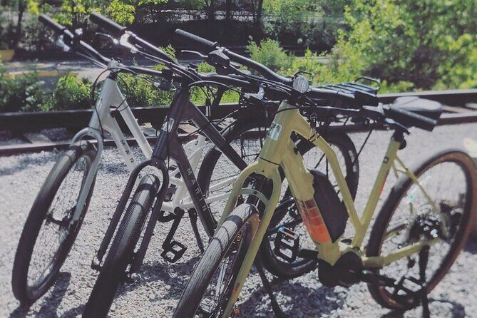 Roanoke River Greenway E-bike Rental - A Closer Look at the Roanoke River Greenway E-bike Rental Experience