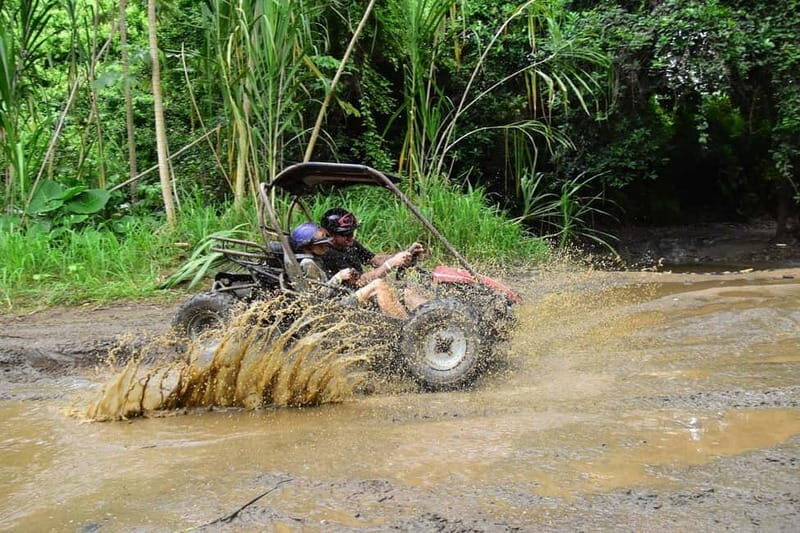Roatan: Muddy Jungle Buggy Tour Off-Road Adventure - Authentic Experiences and Real Feedback