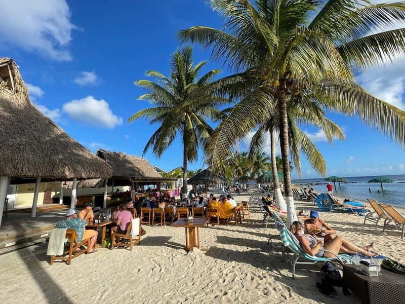 Roatan: Muddy Jungle Buggy Tour Off-Road Adventure - Practical Tips for Future Travelers