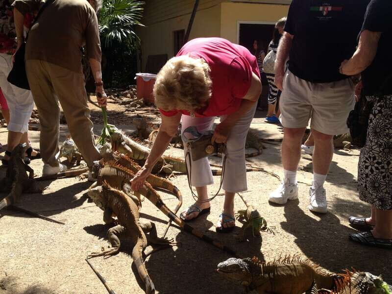 Roatán: Private Monkey and Sloth Sanctuary Tour - An Introduction to the Experience