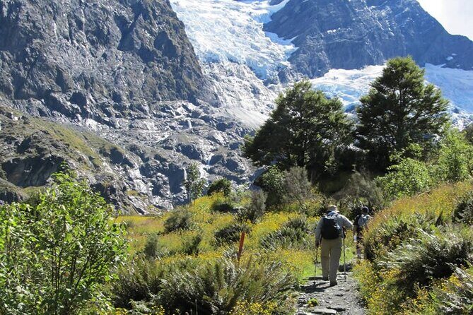 Rob Roy Glacier Guided Walk - An In-Depth Look at the Rob Roy Glacier Guided Walk