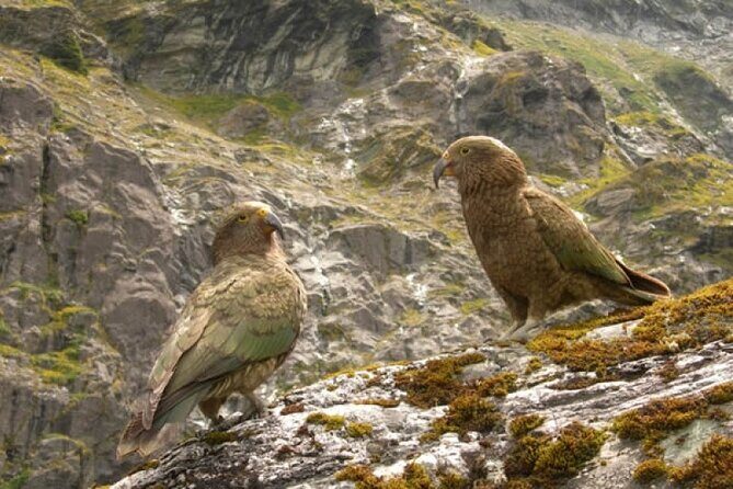 Rob Roy Glacier Guided Walk - Weather and Cancellation Policy
