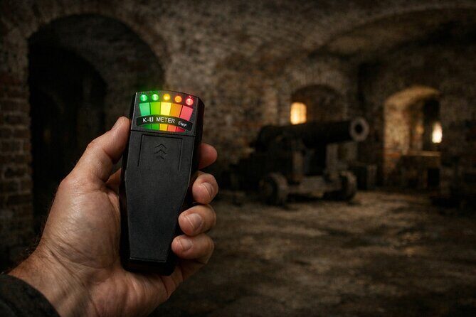 Robert the Doll After Dark - Key Points