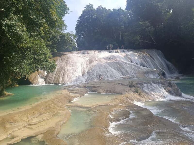 Roberto Barrios Waterfalls from Palenque - Final Thoughts: Who Will Appreciate This Tour?