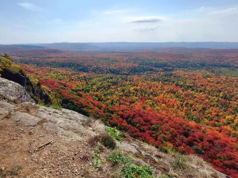 Robertson Cliffs: Where Falcons Fly Guided Hike - FAQ