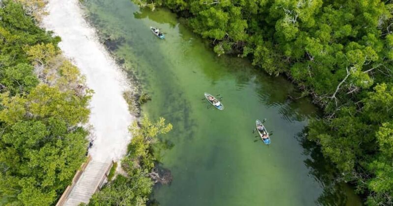 Robinson Preserve: Clear Kayak Ecotour - Key Points