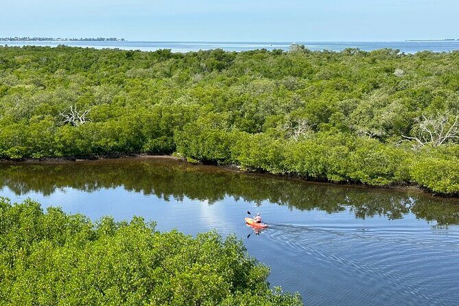 Robinson Preserve Mangrove Tour - A Deep Dive into the Robinson Preserve Mangrove Tour