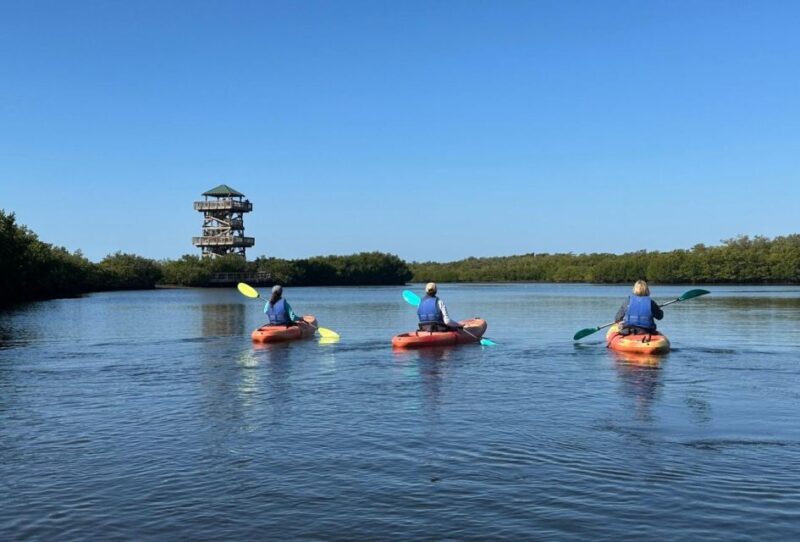 Robinson Preserve Mangrove Tour - Key Points