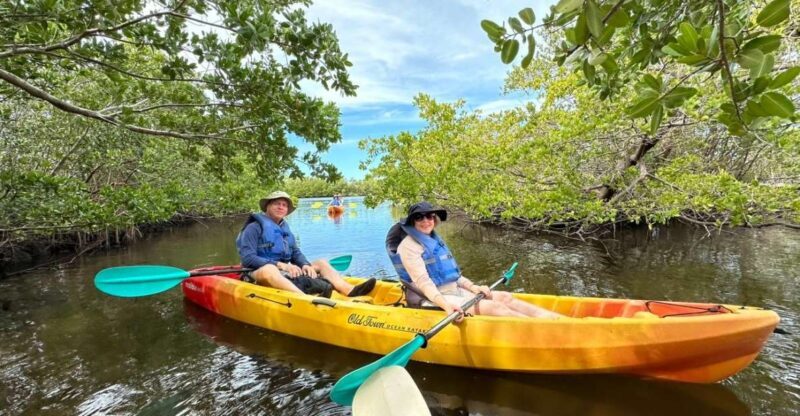 Robinson Preserve Mangrove Tour - The Experience Itself: Calm Waters & Wildlife Highlights