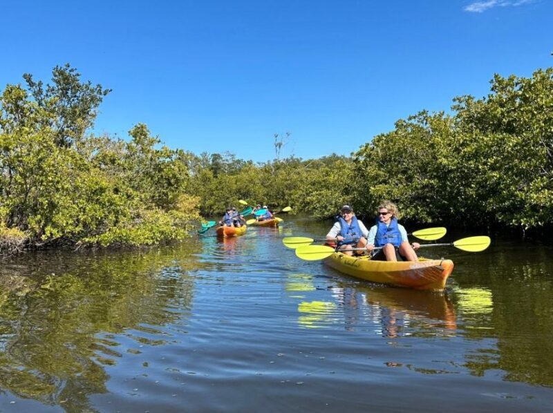 Robinson Preserve Mangrove Tour - Timing and Group Size
